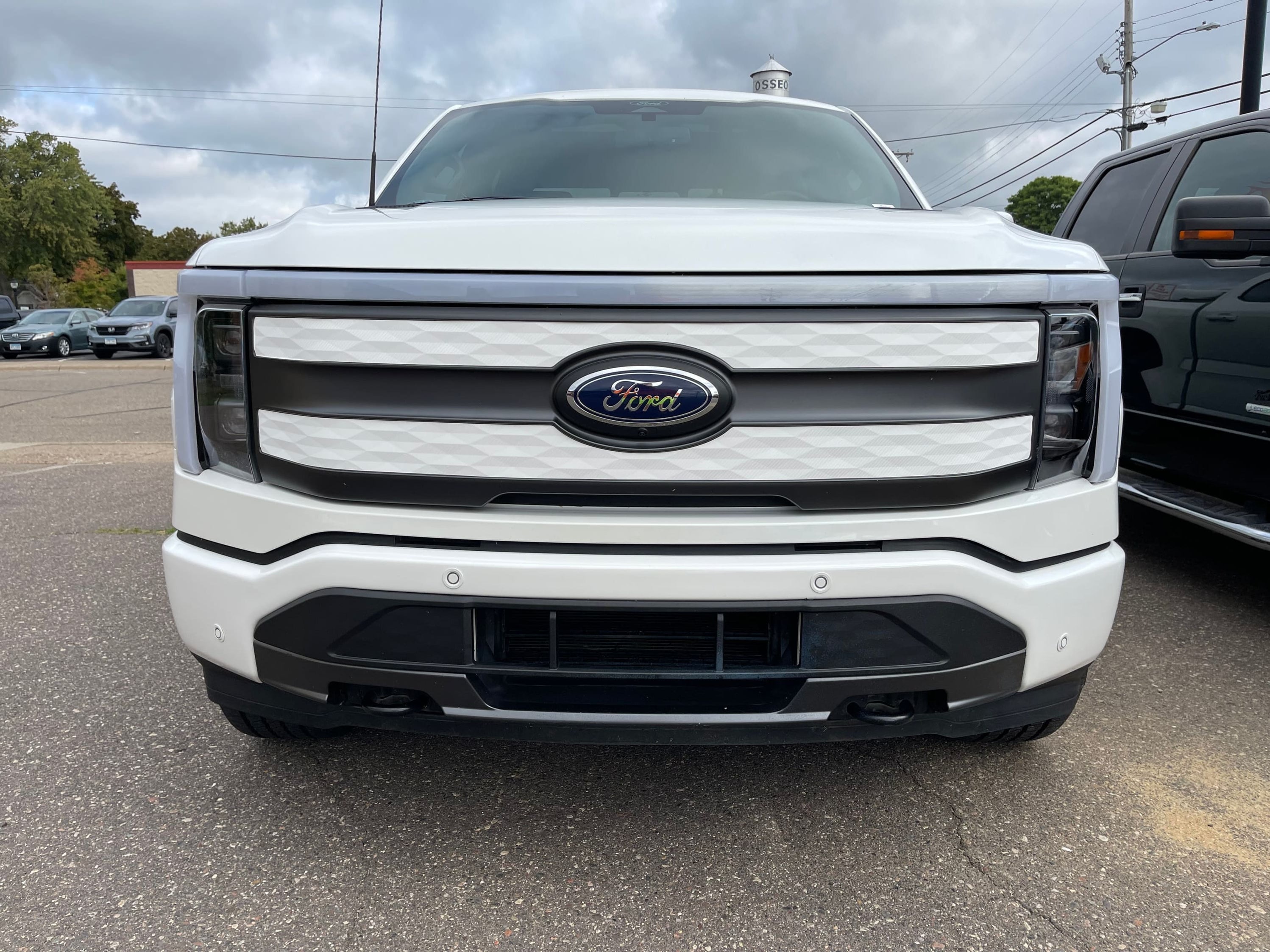 Carbon Fiber Grille Strips | Vinyl Overlay for Ford F-150 Lightning ...